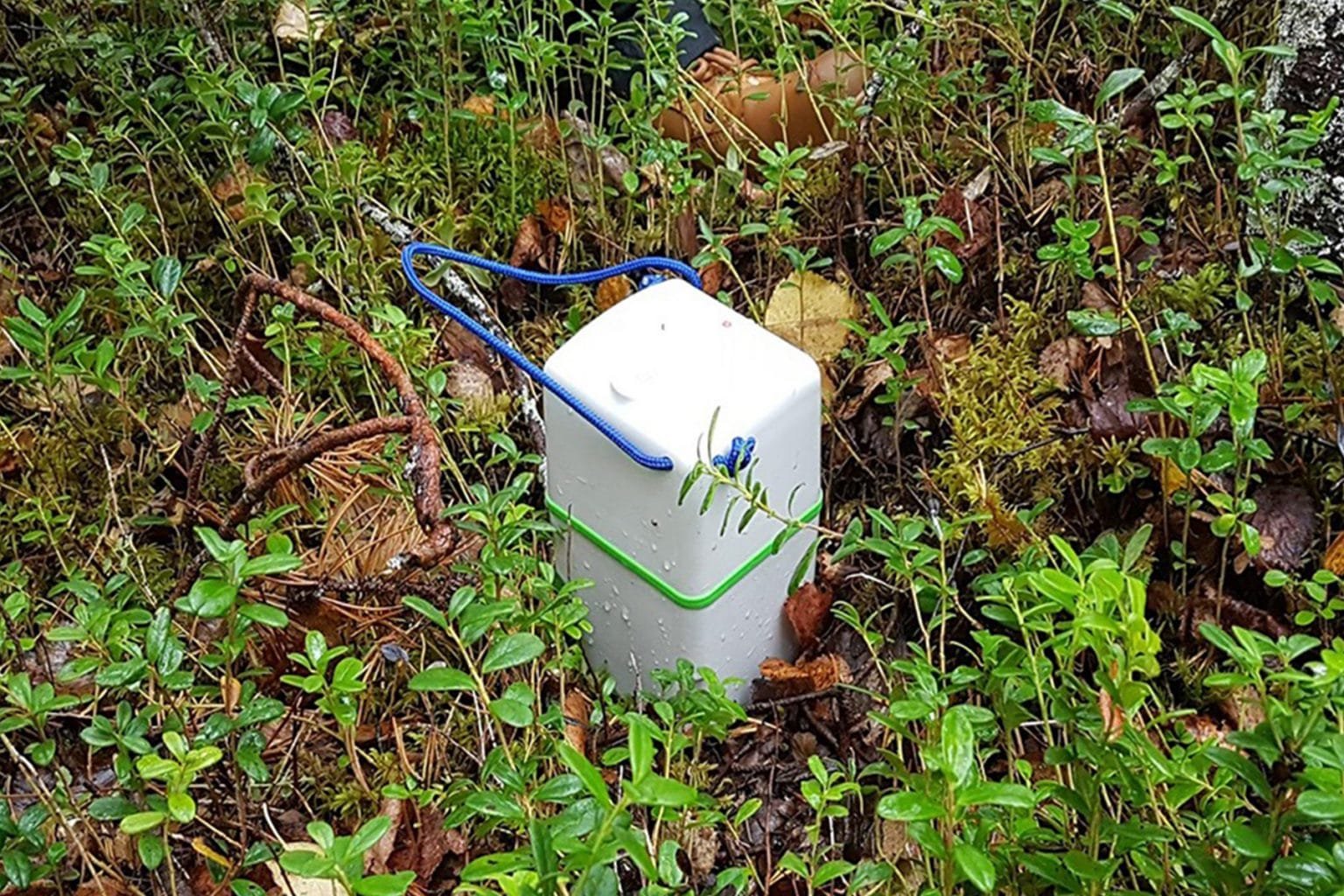 Berbagai Macam Alat Seismic Sensor dan Penjelasannya